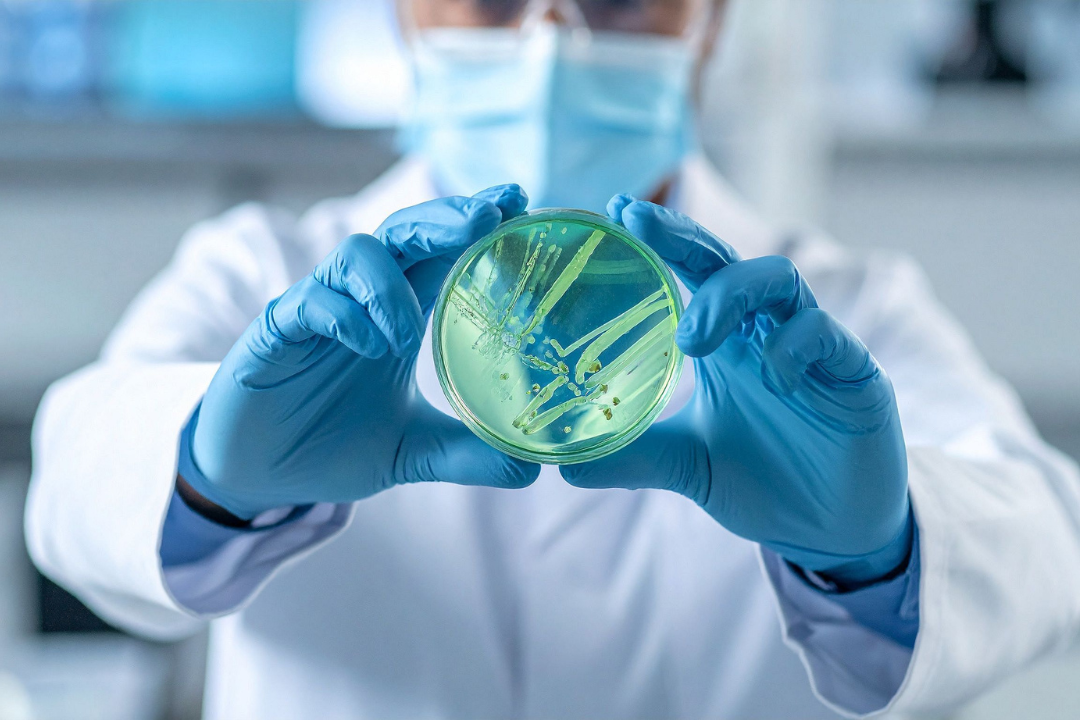 Novo dispositivo promete identificar resistência bacteriana em animais ...